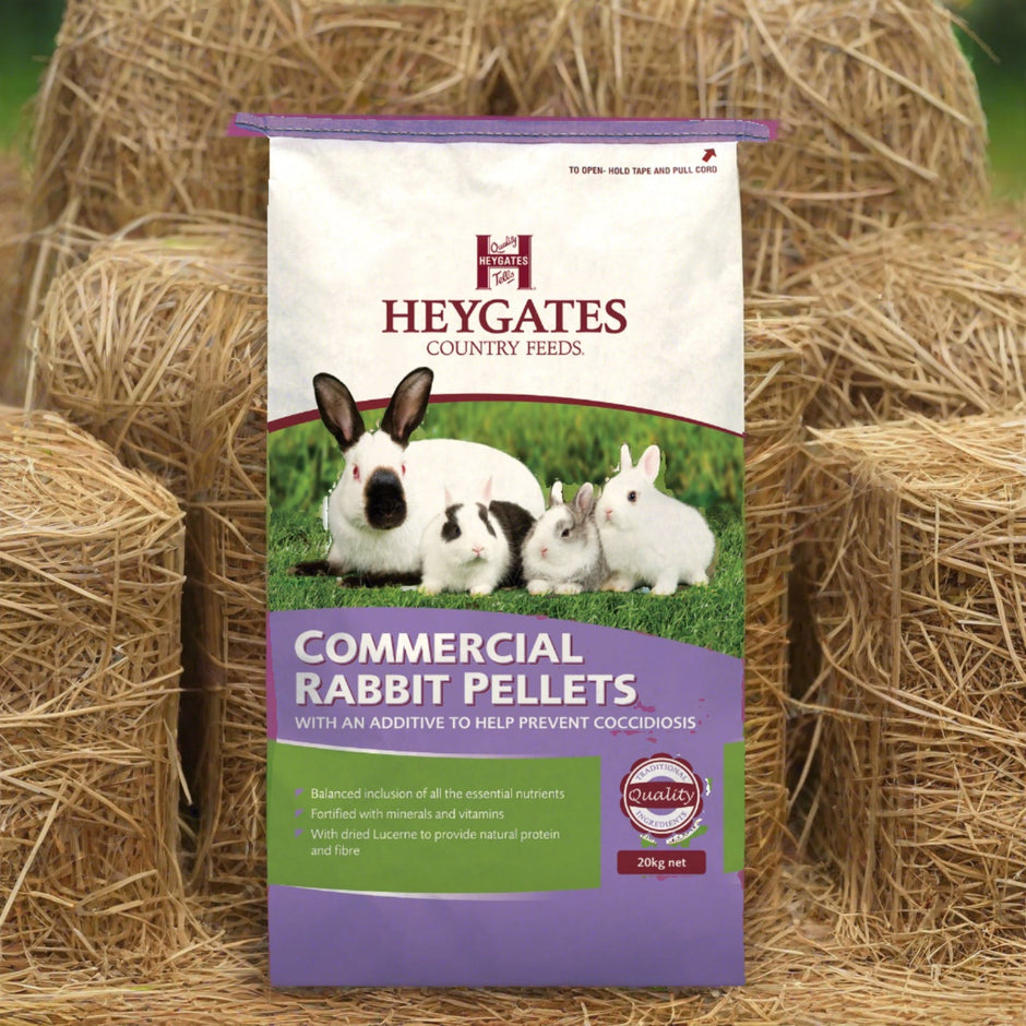 The Complete Guide to Rabbit Care: Nurturing Happy and Healthy Bunnies ...